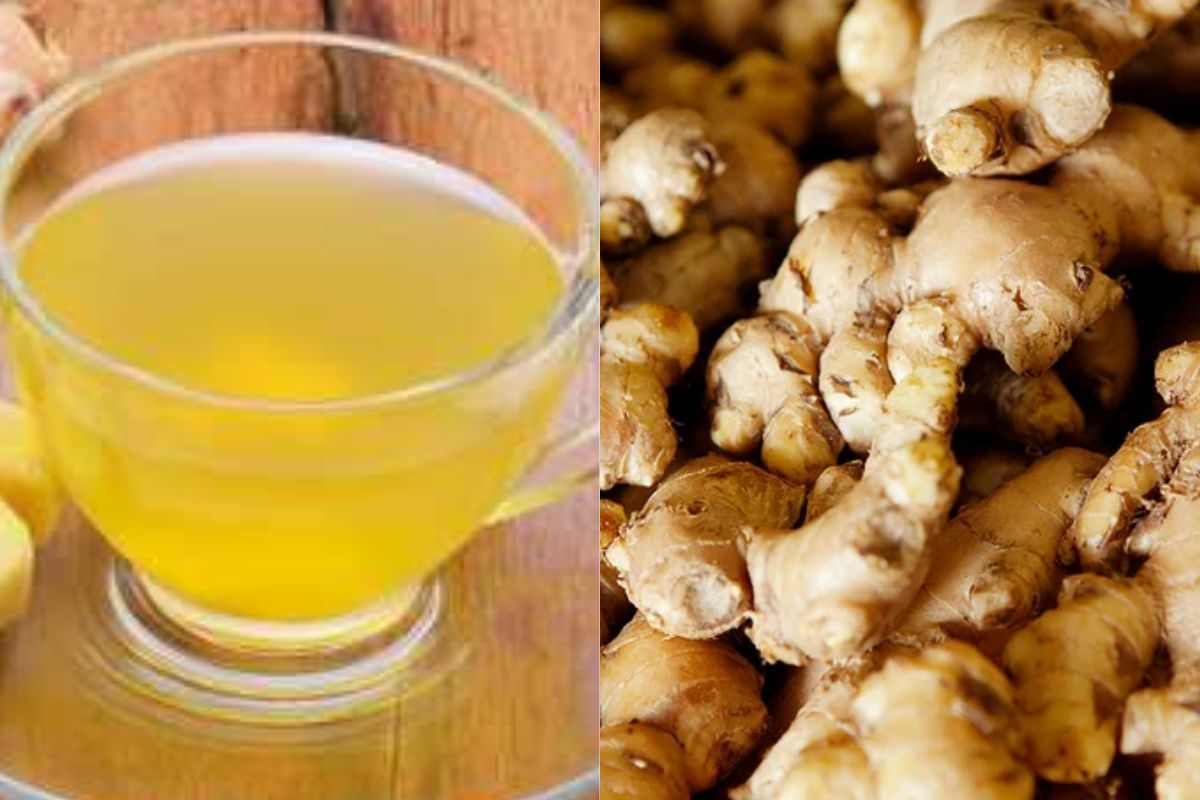 रिकाम्या पोटी आल्याचे पाणी पिण्याचे फायदे - Alyache Paani Pinyache Fayde