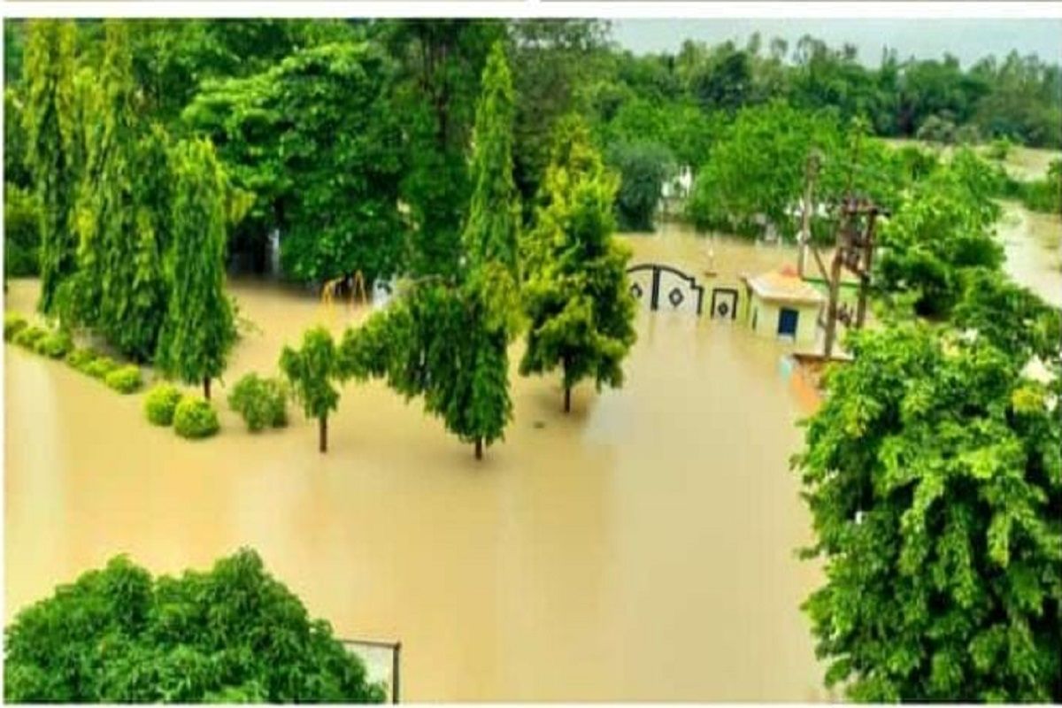 Odisha Floods More Than 4 Lakh People Affected Alerts Issued In Several ...