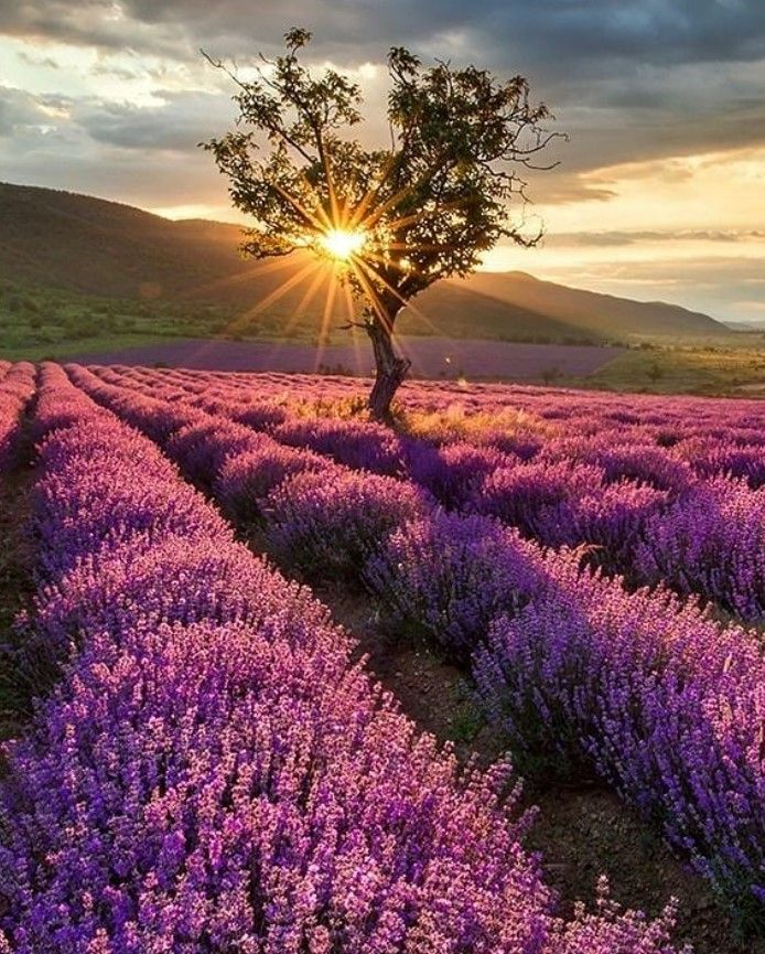 Summer Holidays in September Visit These 5 Countries In Europe Where ...