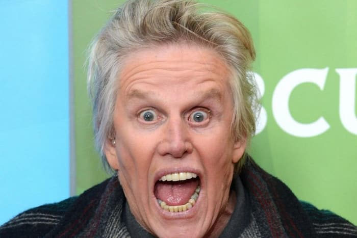 Gary Busey Charged With Sex Offenses At Monster-Mania Convention