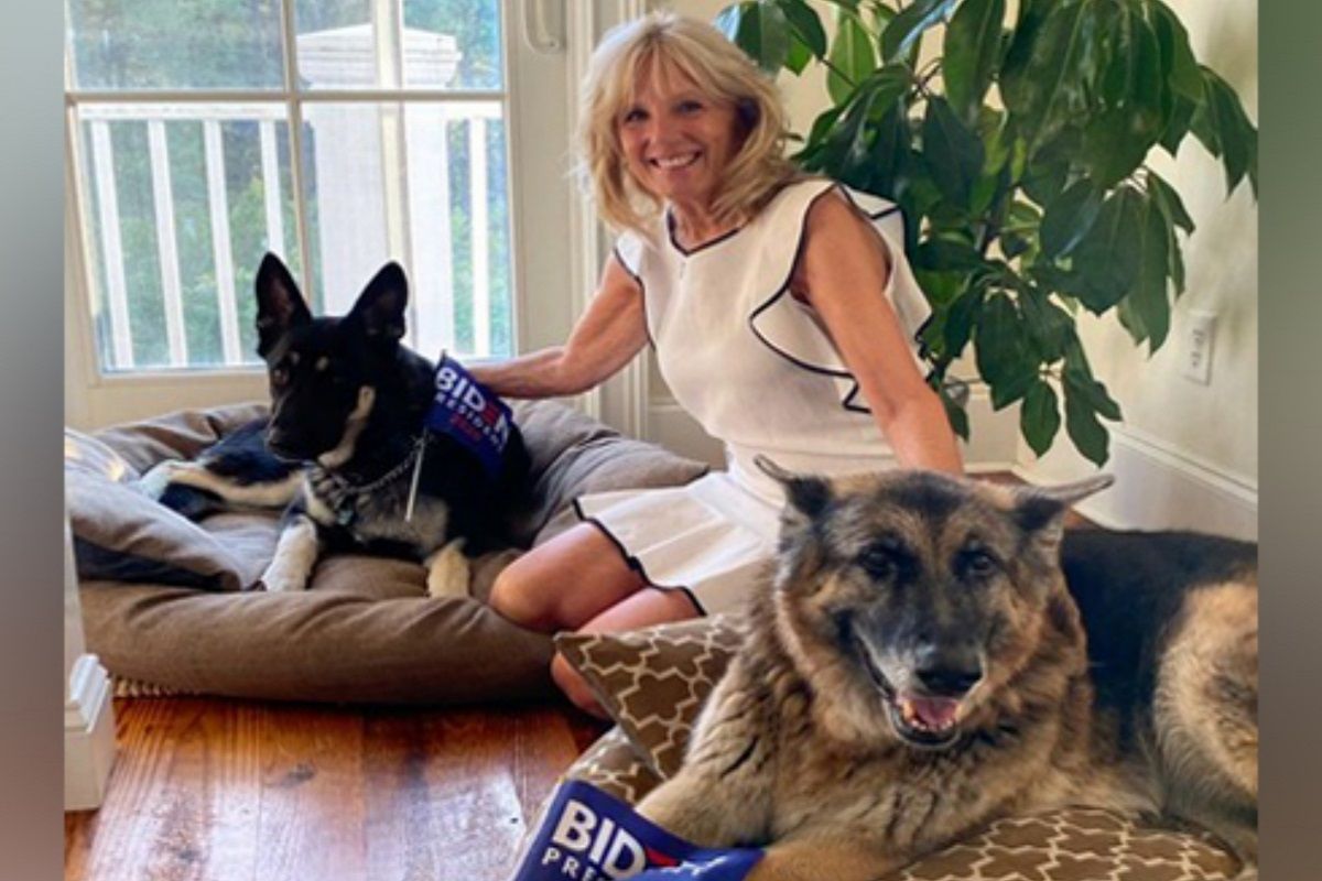 Jill Biden FLOTUS Tests Positive For Rebound Case Of Covid19