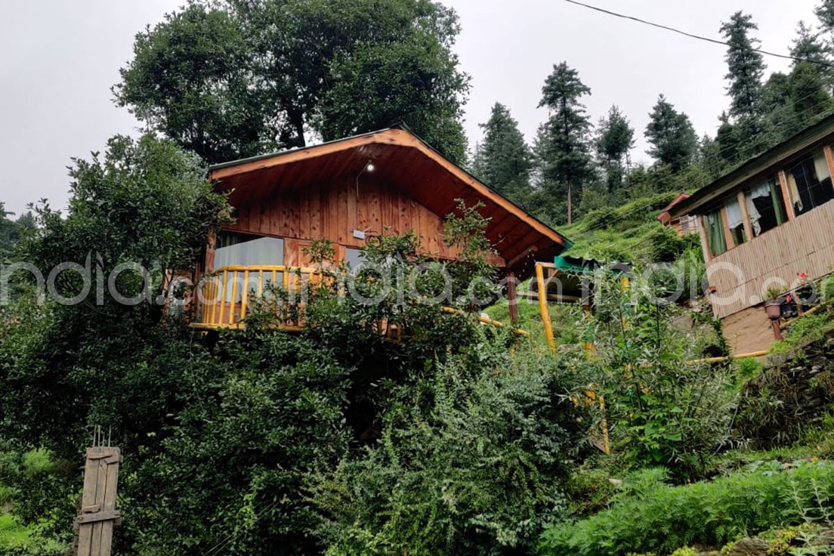 हिमाचल की इस जगह के बारे में शायद आपने भी नहीं सुना होगा, खूबसूरती ...