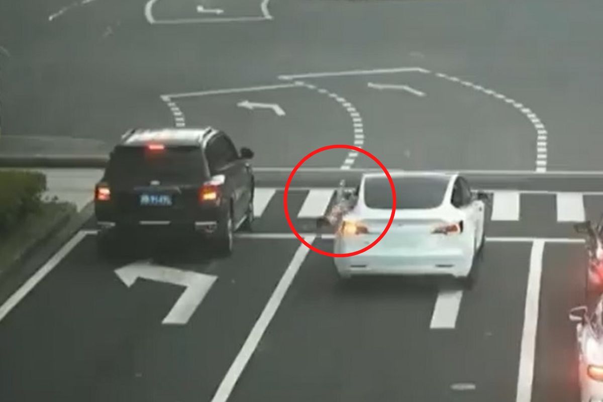 Viral Video: Little Girl Falls Out Of Car Window, Family Drives Away ...