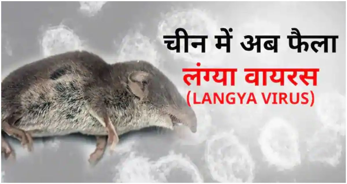 Langya Virus : कोरोना के बाद अब चीन में फैल रहा है यह खतरनाक वायरस ...