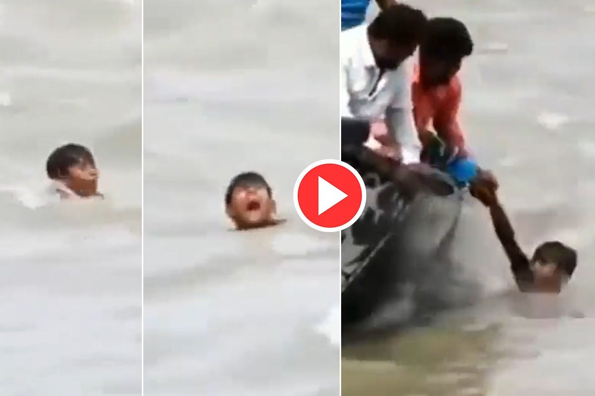 Magarmach Ka Video: नदी में डूब रहे लड़के के चारों ओर चक्कर काटने लगे ...