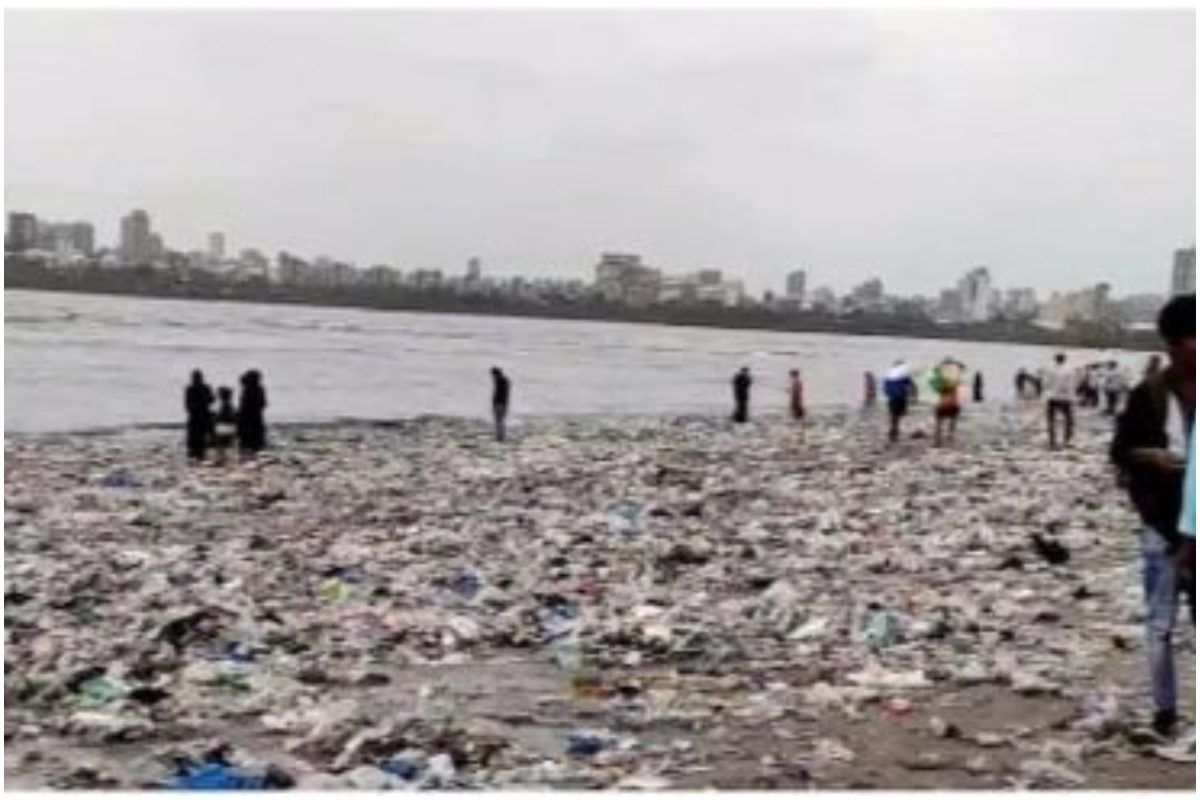 पीएम मोदी का जन्मदिन: समुद्री तटों से हटाया जाएगा 1,500 टन कचरा, फिल्मी ...