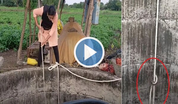 Viral Video: Brave Woman Rescues Snake Trapped In Well, Sets It Free in ...