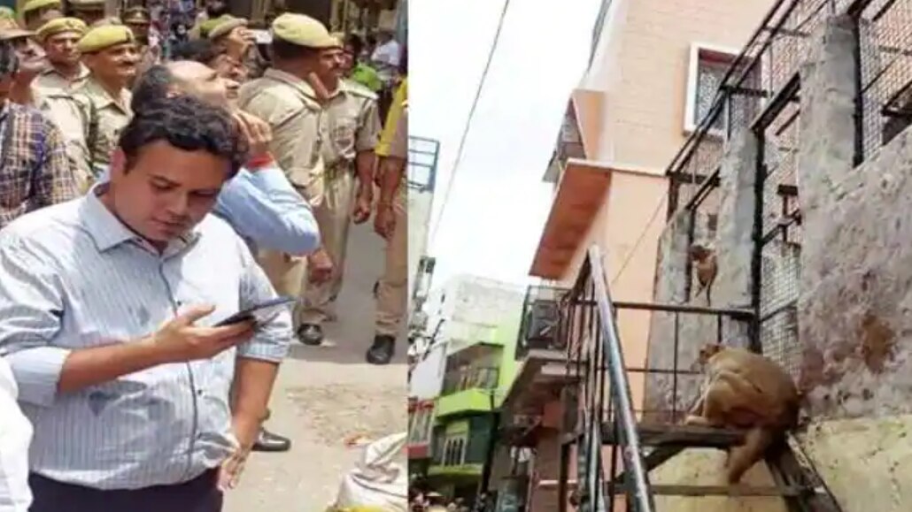 Monkey Runs Away With Mathura DM Navneet Chahal’s Sunglasses, Watch ...