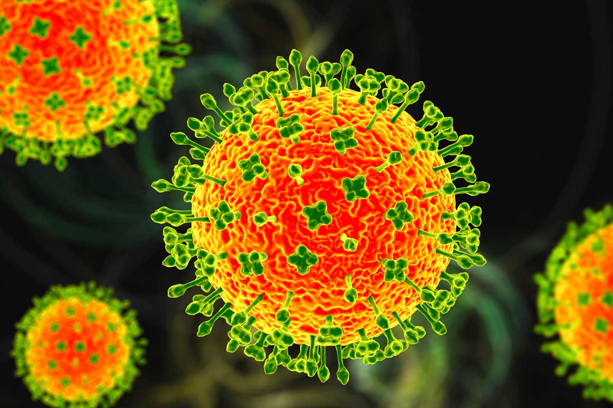 Langya virus: कोरोना के बाद चीन में जानवरों से इंसानों में आया एक और ...
