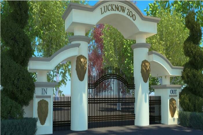 Attention Nature Enthusiasts! Lucknow Zoo To Introduce Night Safari ...