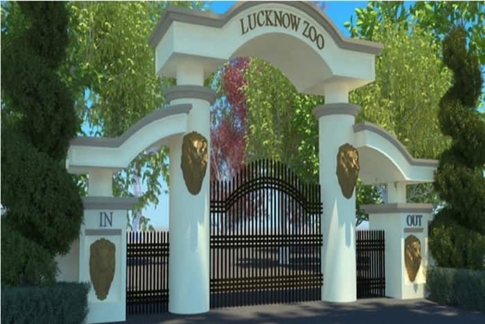 Attention Nature Enthusiasts! Lucknow Zoo To Introduce Night Safari ...