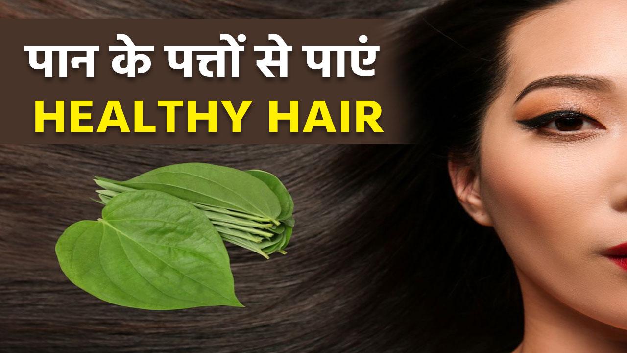 हेयर केयर टिप्स: बालों की अच्छी ग्रोथ के लिए लाभकारी है पान के पत्ते ...