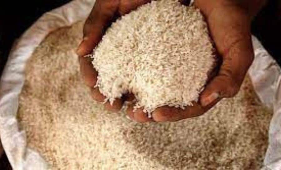 India Stands Tough At WTO Defending Its Move To Ban Wheat, Rice Exports ...