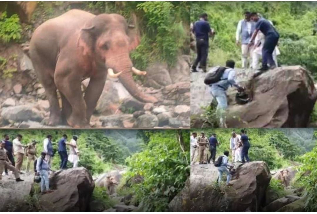Video: Former CM Trivendra Rawat Climbs Rock to Save Himself As Elephant Blocks His Convoy | Watch