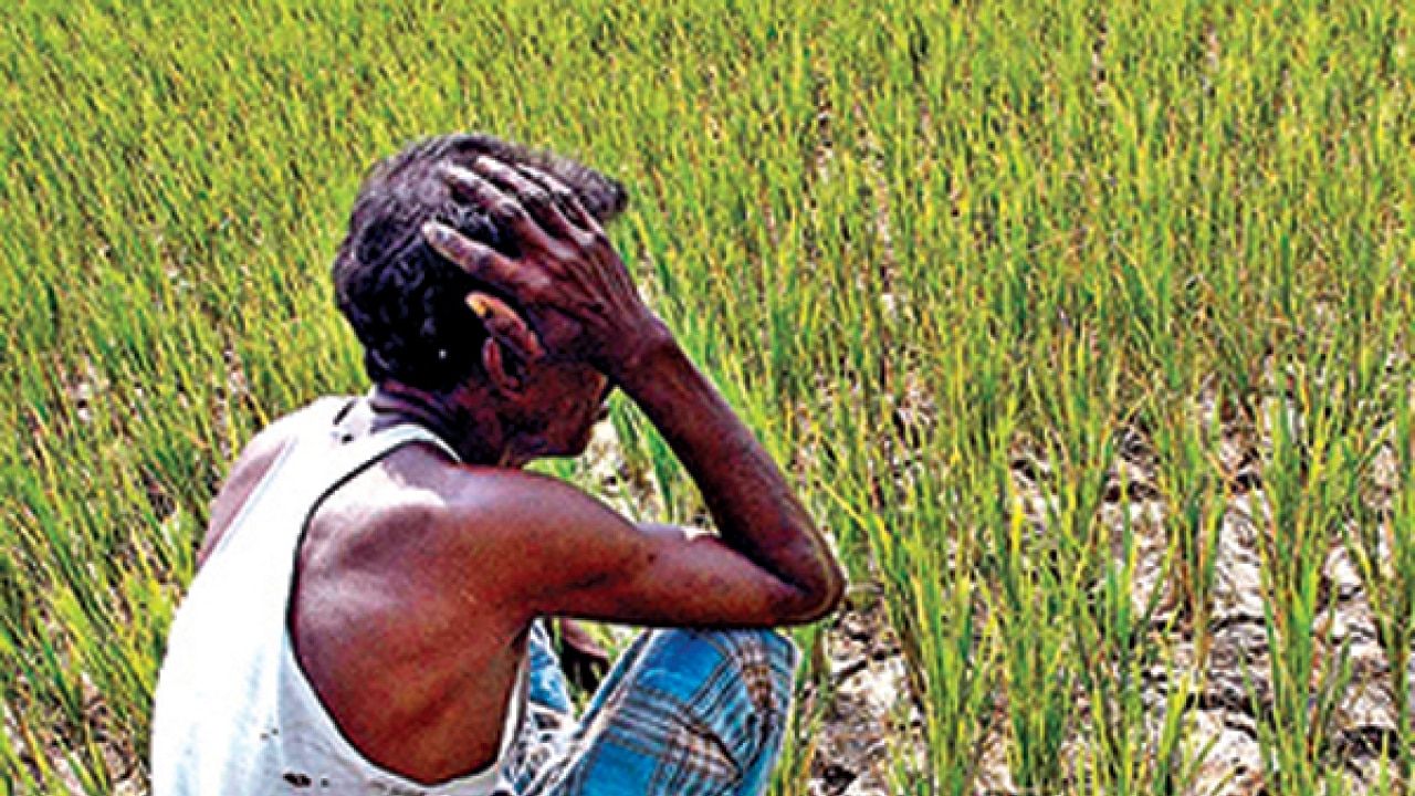 Staring At An Impending Food Crisis? Food Secy Says Rice Production May ...
