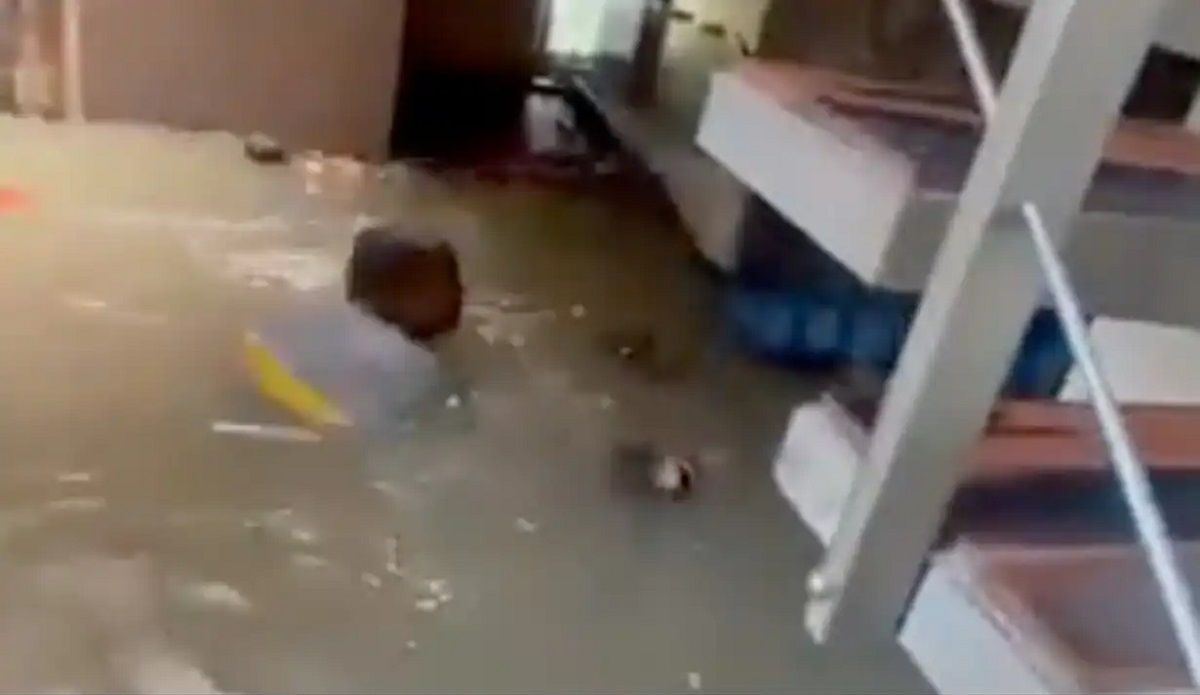 Man Seen Swimming In His Living Room Amid Bengaluru Floods, Video Goes ...