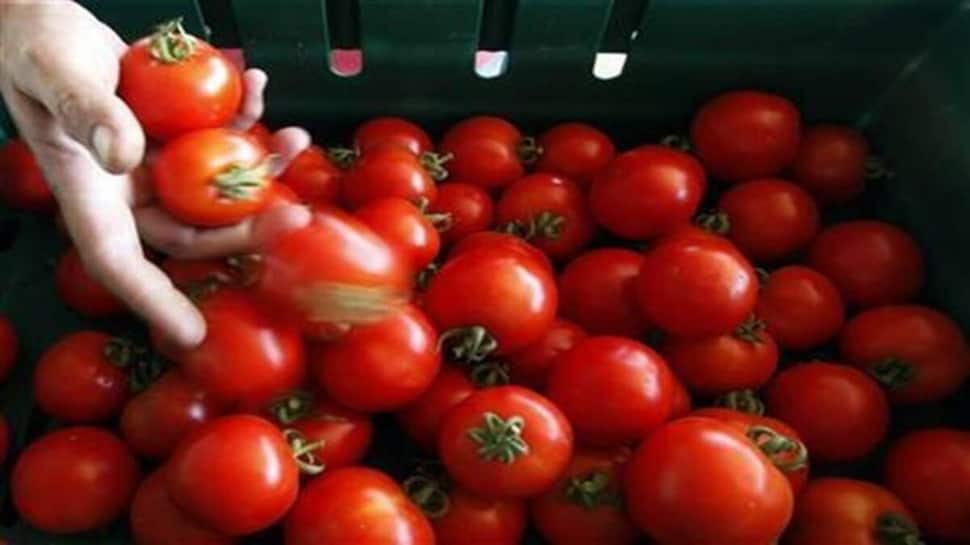 Tomato Price In This UP City Could Burn A Hole In Your Pocket | India.com
