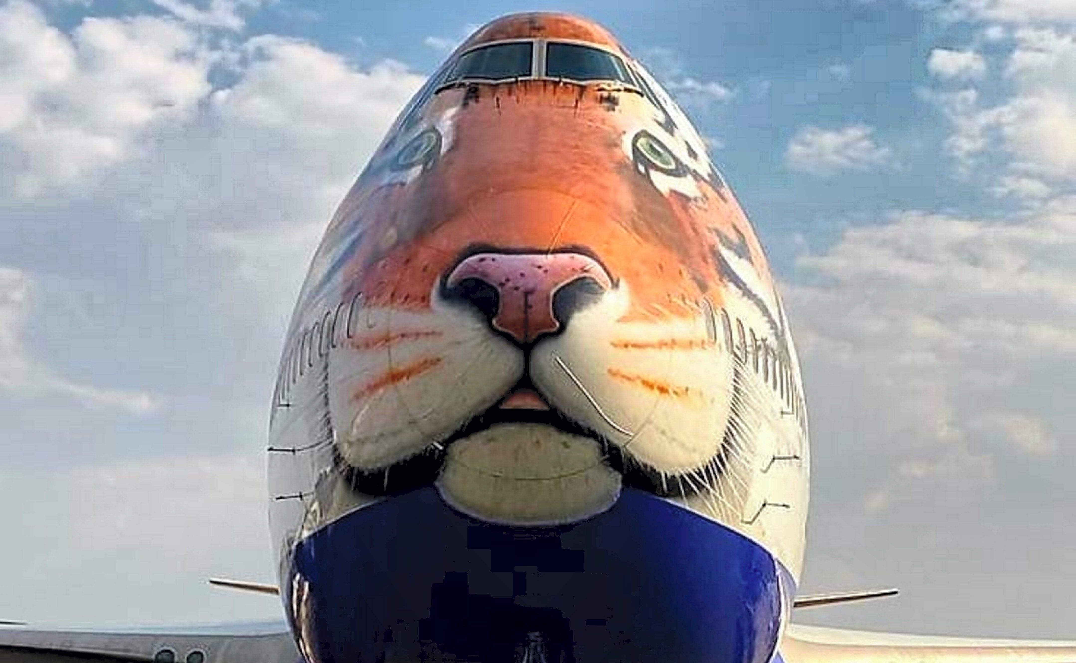 Specially Customised B747 Jumbo Jet Arrives in Namibia to Bring 8 ...