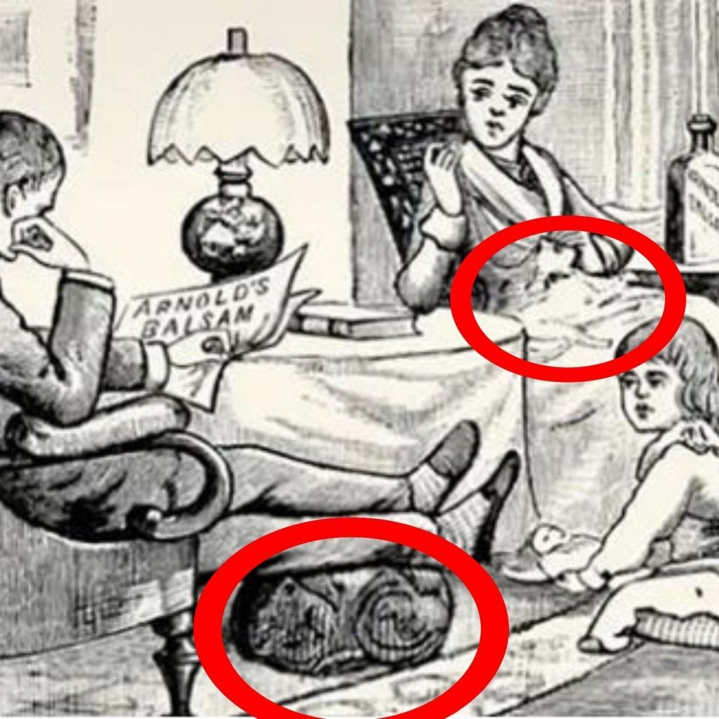 Viral Optical Illusion: Can You Find The 2 Cats Hidden In This Picture ...