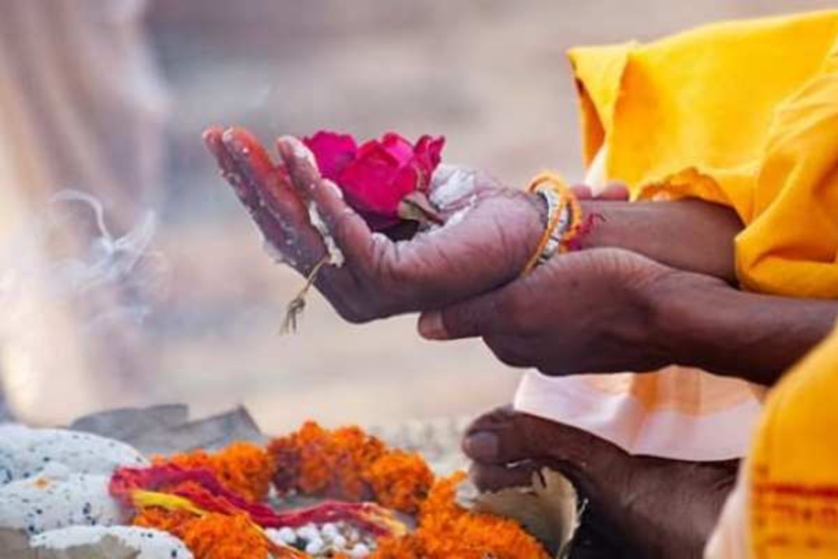 Pitru Paksha 2022: आज है पितृपक्ष का षष्ठी श्राद्ध, इन पेड़ों की पूजा ...