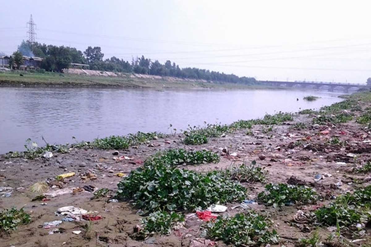 हिंडन नदी देश की सबसे प्रदूषित नदियों की सूची में पहले स्थान पर, जलीय ...