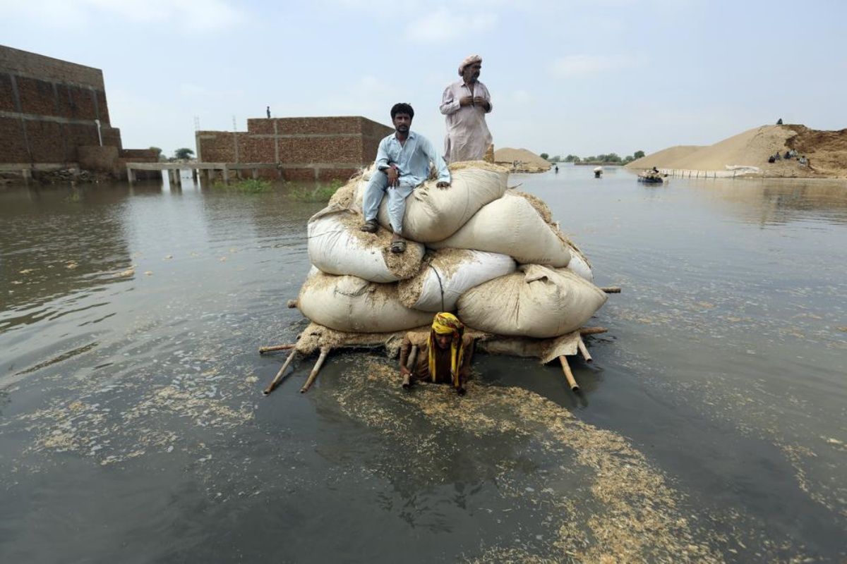 Death Toll Crosses 1,300 Mark Amid Raging Floods In Pakistan; UN Agency ...