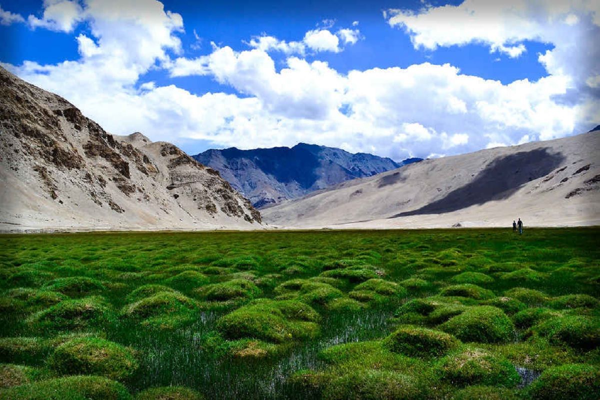 Puga Valley Ladakh: हर किसी को एक बार जरूर घूमनी चाहिए लद्दाख की ये ...