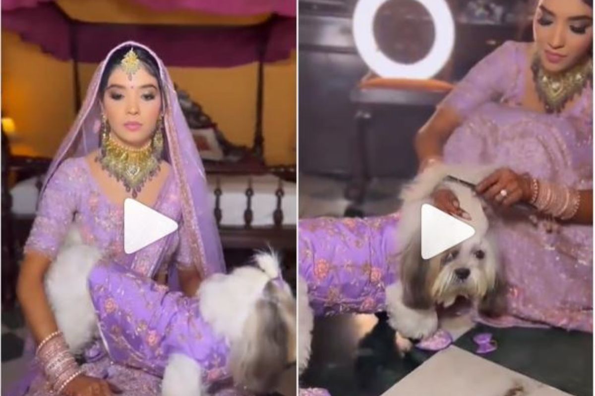 Viral Video: Bride Gets Pet Dog Ready In Matching Outfit For Wedding ...