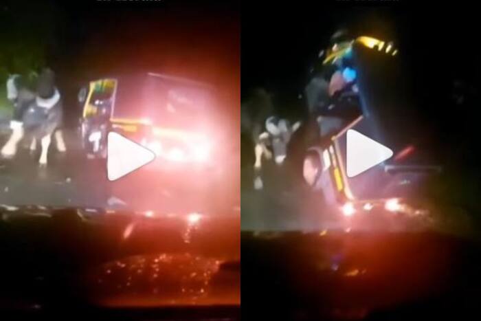 Viral Video: Wild Buffalo Attacks Vehicles In Kerala, Flips Auto ...