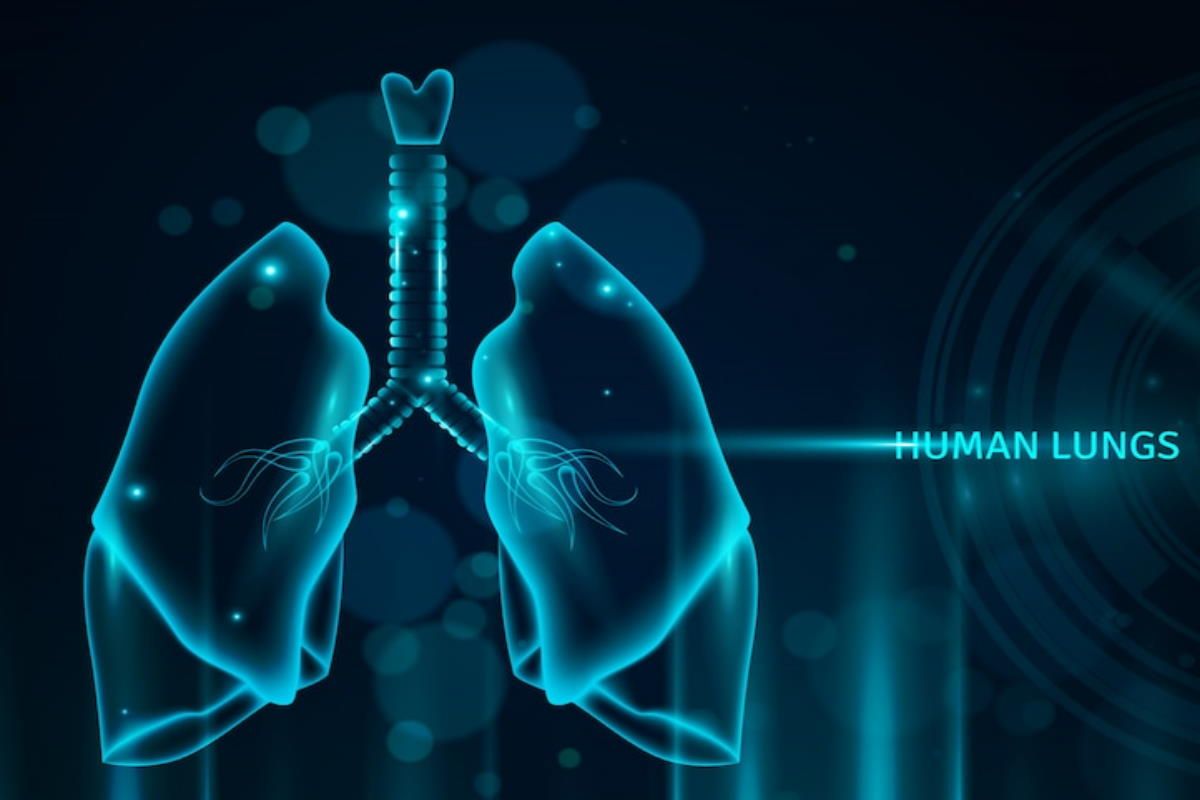 फेफड़ों को स्वस्थ के लिए खाएं ये चीजें, गंदगी-कफ होगी दूर और कैंसर खतरा होगा कम