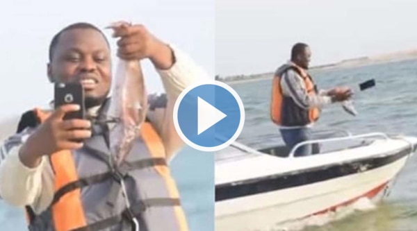 Oh No! Man Clicks Selfie With Fish And Then Flings His Phone Into Water ...