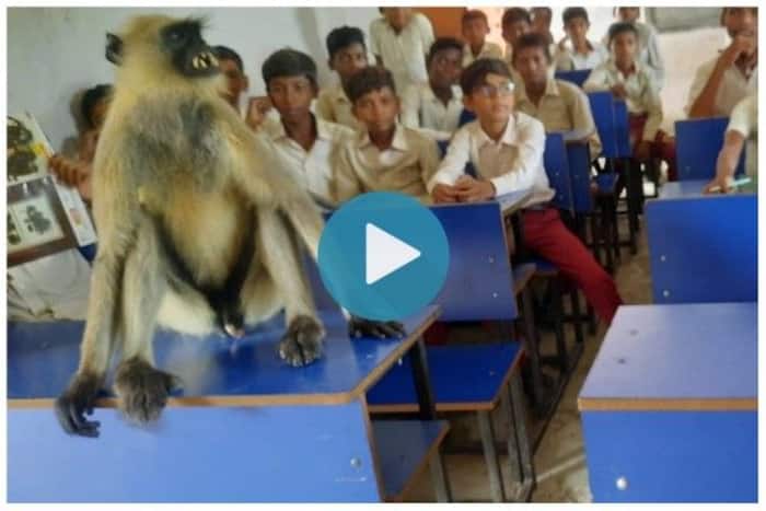 Monkey Attends Classes With Students In Jharkhand