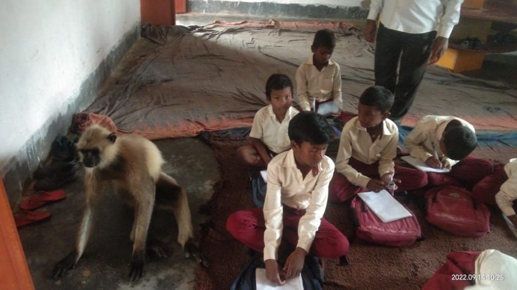 Monkey Attends Classes With Students In Jharkhand