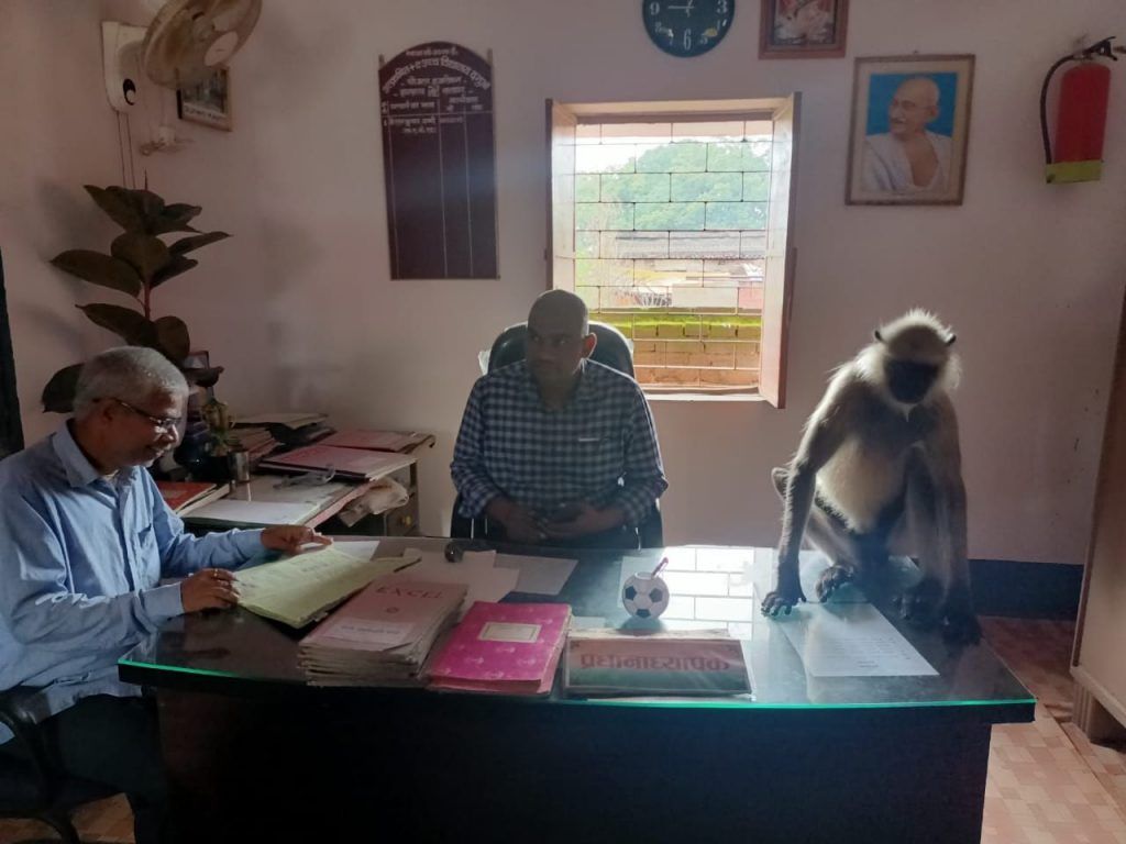 Monkey Attends Classes With Students In Jharkhand