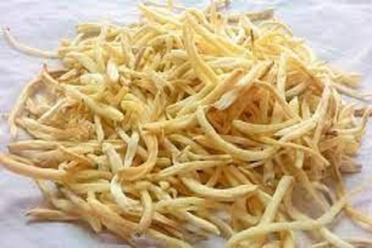 Safed Musli Benefits: सफेद मुसळी खाल्ल्याने दूर होते शारीरिक कमजोरी ...