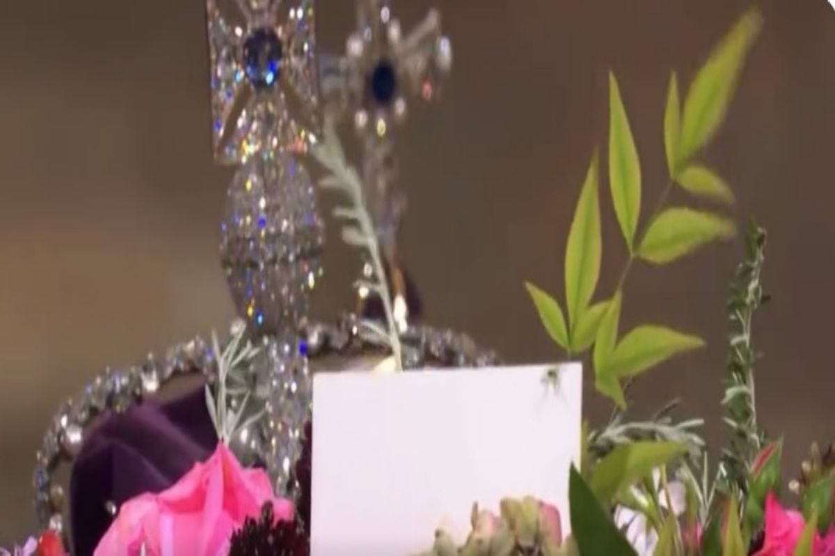 Video Spiders 5 Seconds To Fame Atop Queen Elizabeth II