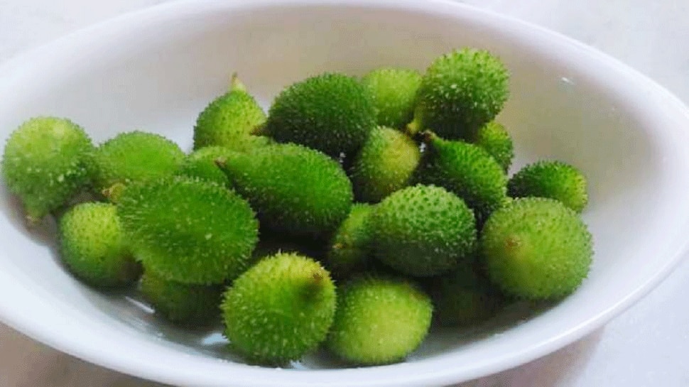 Spiny Gourd: चट्टान जैसा फौलाद बनाती है दुनिया की ये सबसे ताकतवर सब्जी ...