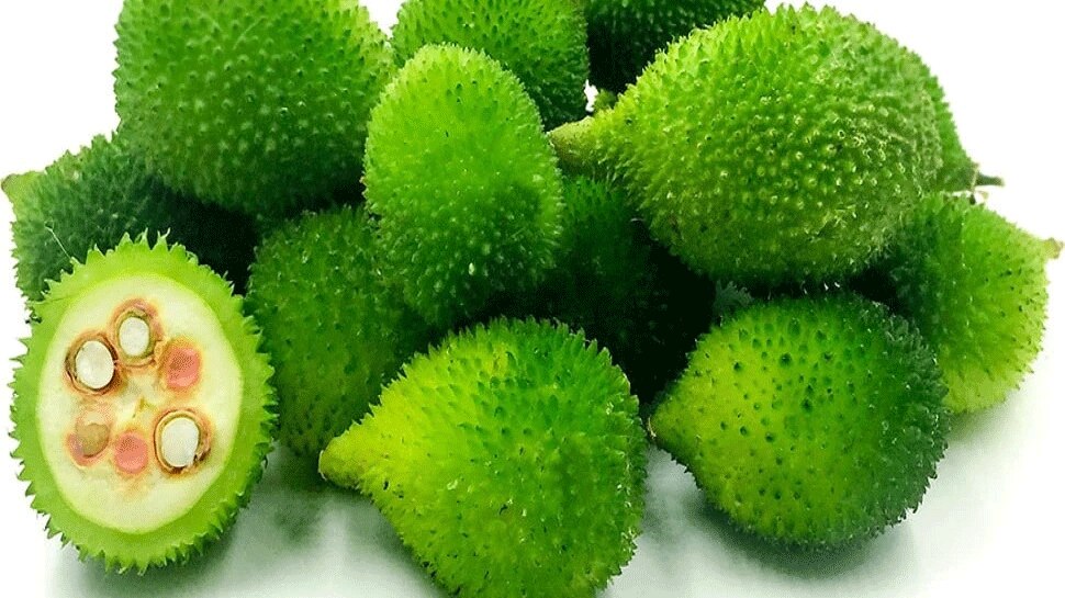 Spiny Gourd: चट्टान जैसा फौलाद बनाती है दुनिया की ये सबसे ताकतवर सब्जी ...