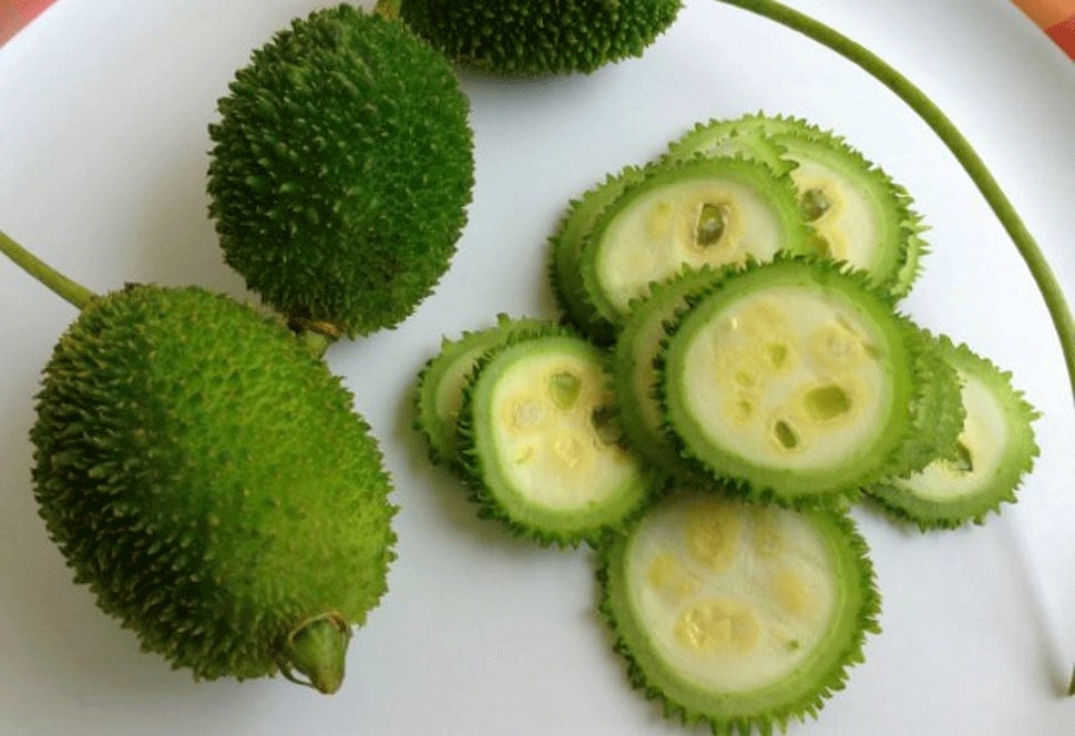 Spiny Gourd: चट्टान जैसा फौलाद बनाती है दुनिया की ये सबसे ताकतवर सब्जी ...
