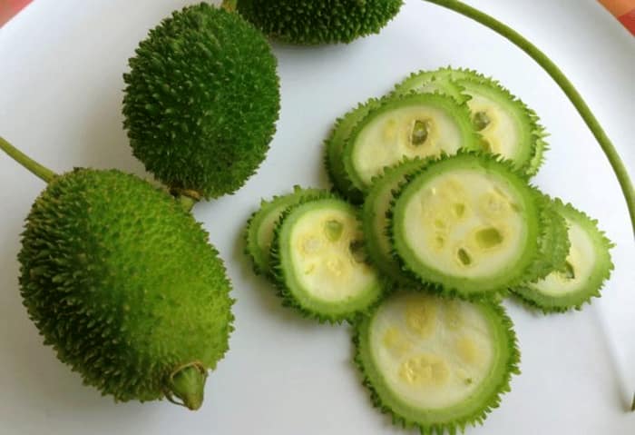 Spiny Gourd: चट्टान जैसा फौलाद बनाती है दुनिया की ये सबसे ताकतवर सब्जी ...