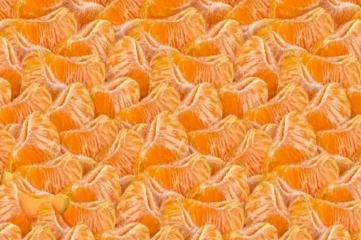 Viral Optical Illusion: Can You Find The Hidden Melon Among These ...