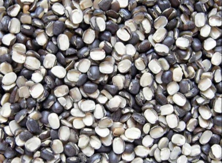 Urad Daal Ke Fayde: पुरुषों को जरूर खानी चाहिए ये दाल, फायदे जानकर हो ...