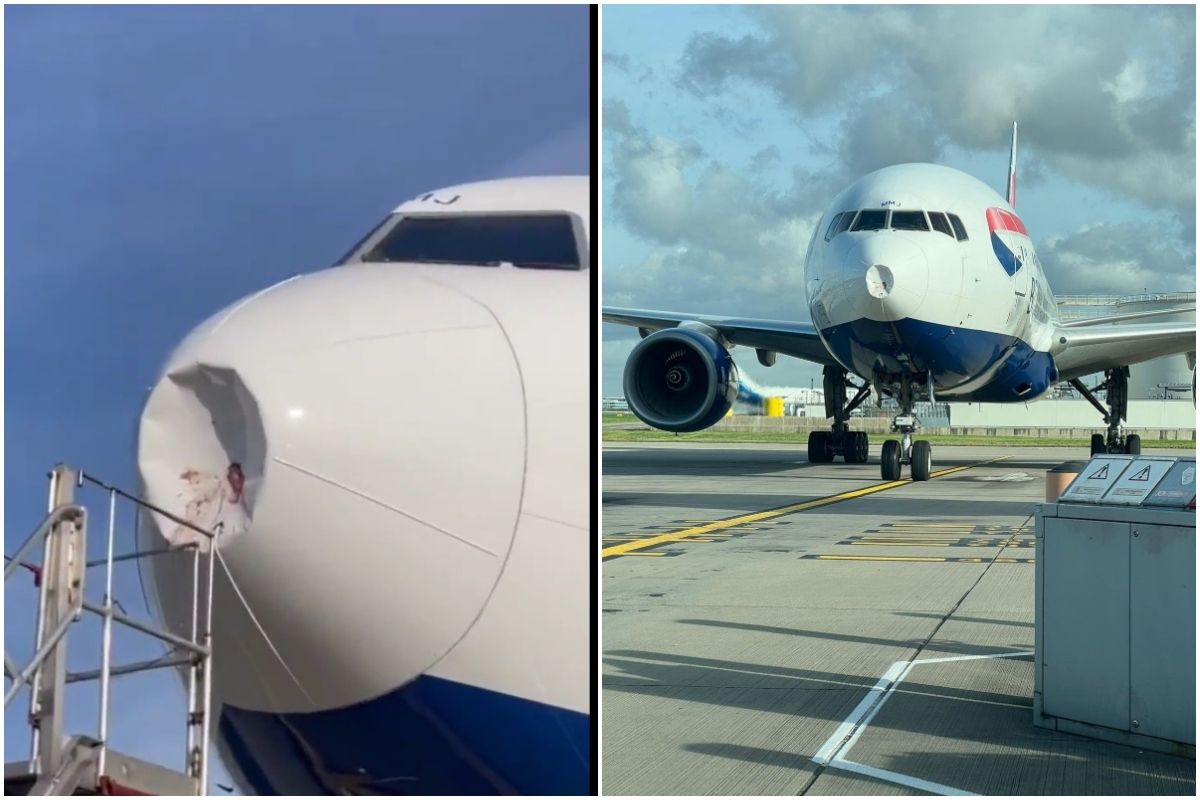 British Airways Flight Accident: बाल-बाल बचीं क्वीन कैमिला, पक्षी के ...