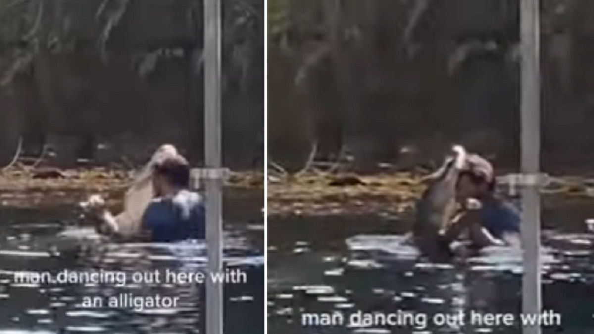 Viral Video Shows Man Dancing With Alligator Romantically, Netizens Say ...