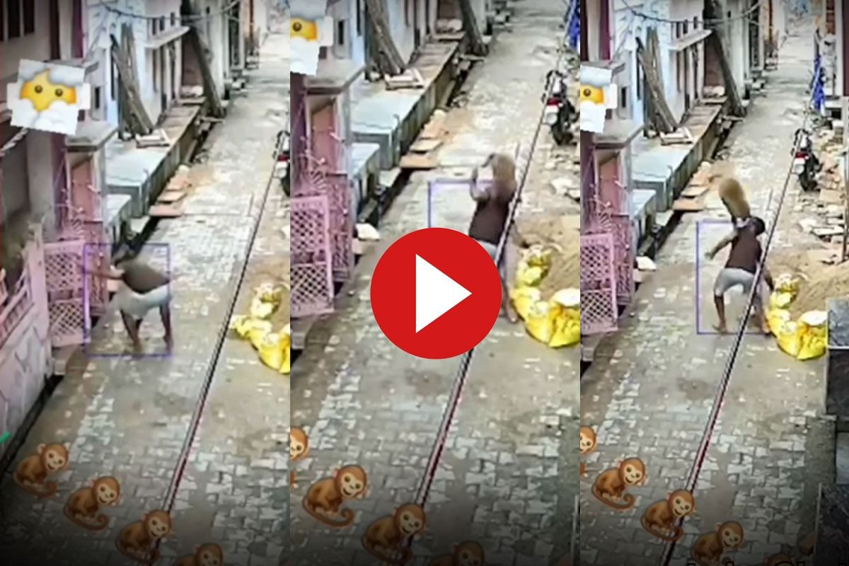 Bandar Ka Video: घर आए बंदर को भगाने लगा शख्स, तभी ऐसा पटका बेचारा अंदर ...