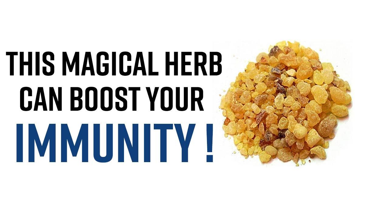 Gond Katira Benefits: Boosting Immunity To Inducing Weight Loss ...