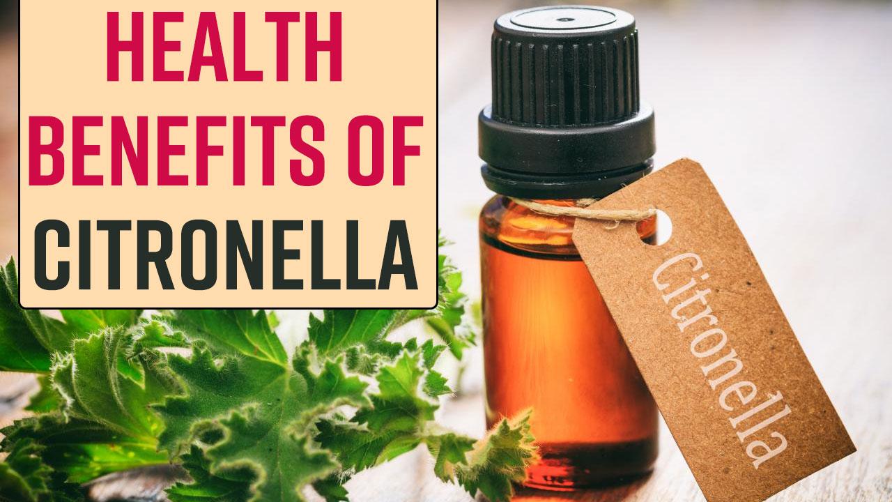 Health Benefits Of Citronella: Natural Insect Repellent To Treating ...