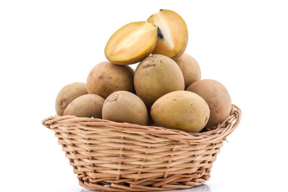 चीकू खाकर इन बीमारियों से पाएं छुटकारा, महिलाओं के लिए है बेहद फायदेमंद