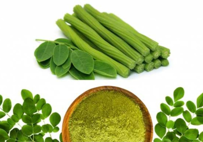 Sahjan Benefits: सहजन का सेवन कई बीमारियों को करेगा छूमंतर, वैवाहिक ...