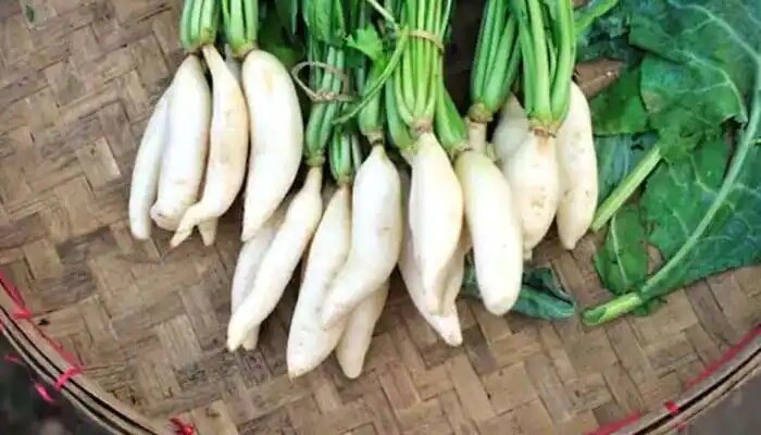 Mooli Khane Ke Nuksan : इन 4 चीज़ो के साथ नहीं खानी चाहिए मूली, कहीं आप ...